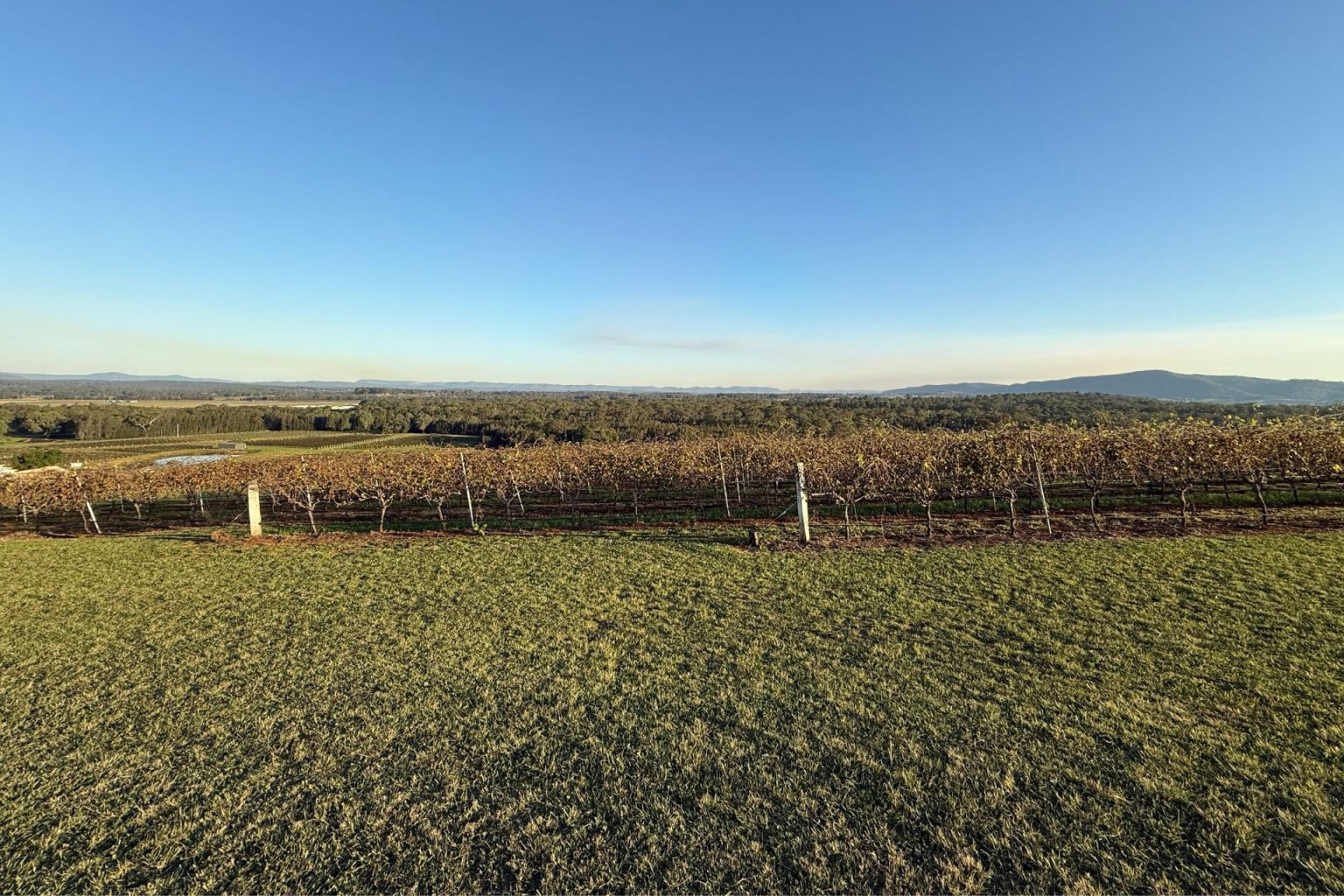 Hunter Region Accommodation, Restaurants & Things to Do