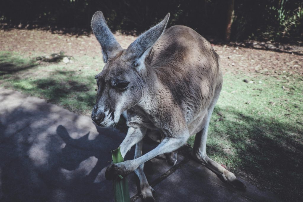 Hunter Region Attractions - Hunter Region Tourism
